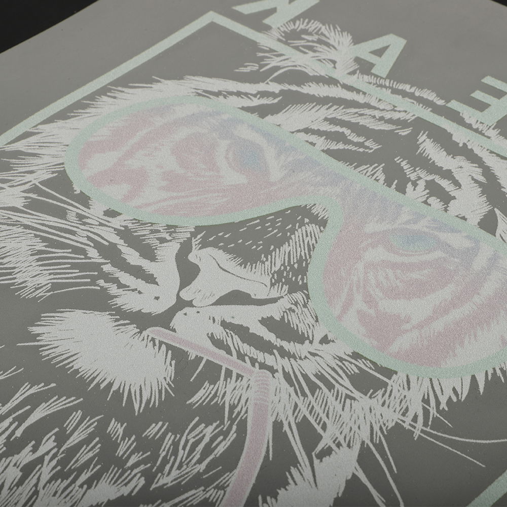 COLOR PRIME DTF Transfer Powder - 1KG/Bag - DTF Station