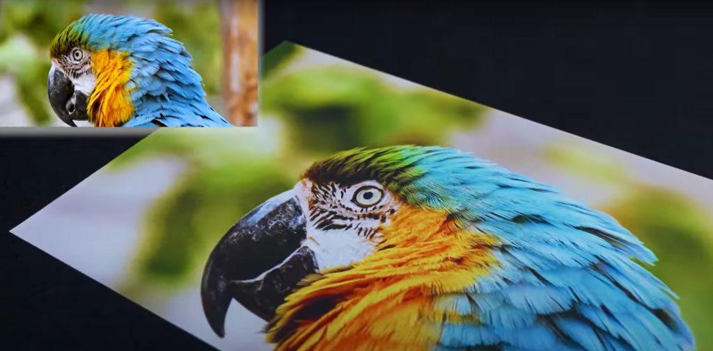 9 Color DTF Printer: High-Fidelity Color Printing Explained | DTF Station