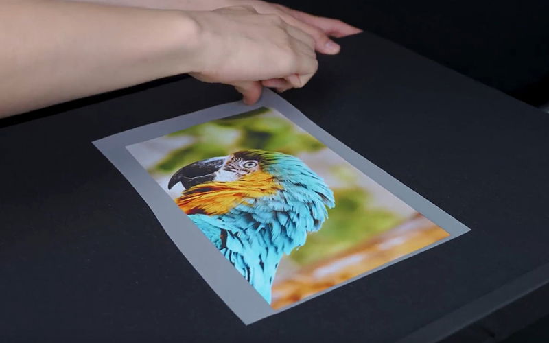 10 Proven Tips to Make Your DTF Printer Last Longer and Perform Better ...